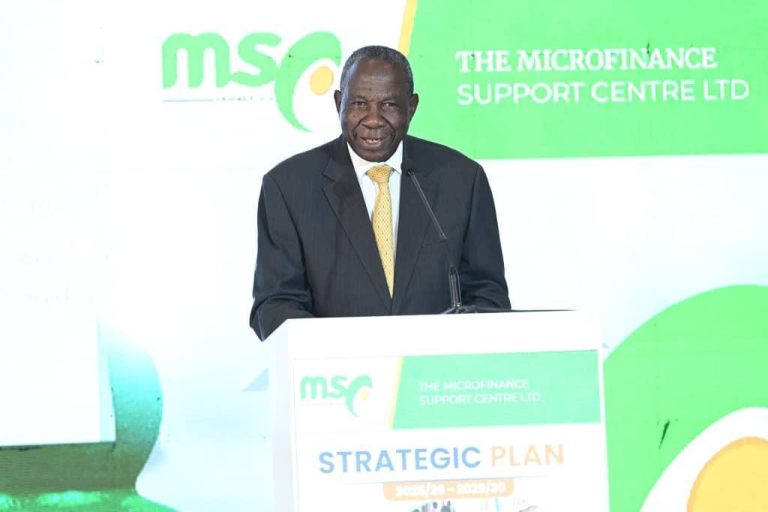 Microfinance Support Centre Launches Five-Year Plan - Uganda