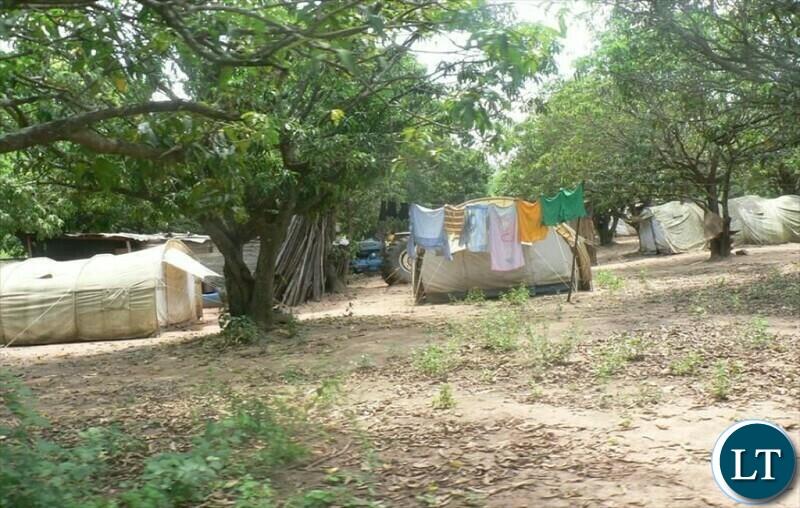 Encroachment in National Forests: Challenges and Possibilities - Zambia