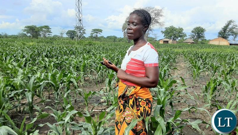 Govt. calls for inclusive economic transformation - Zambia