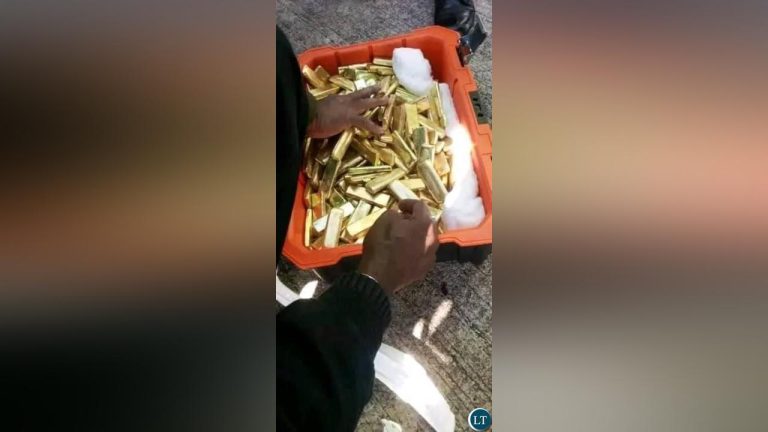 Gold gate suspects charged with espionage - Zambia