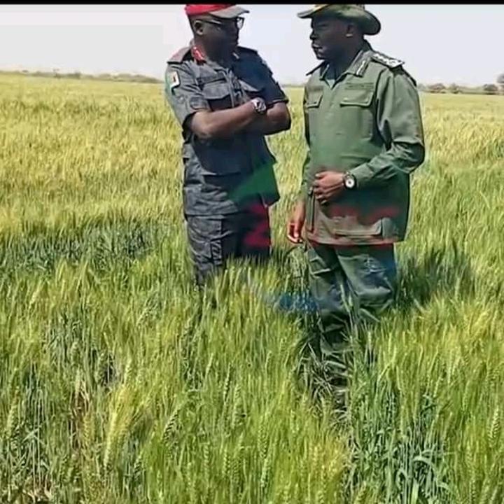 GOVERNMENT ACQUIRES ZAMBEEF CHIAWA FARM - Zambia