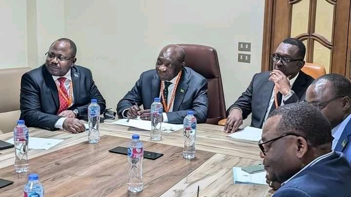 ZAMBIA, EGYPT TO SIGN MoU THAT WILL FOSTER CONSTRUCTION OF MASS ...