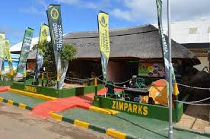 ZimParks quakes over surge in poaching cases - zimbabwe