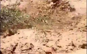 Several Feared Dead After Bandama Dam Collapse In Chipinge - zimbabwe